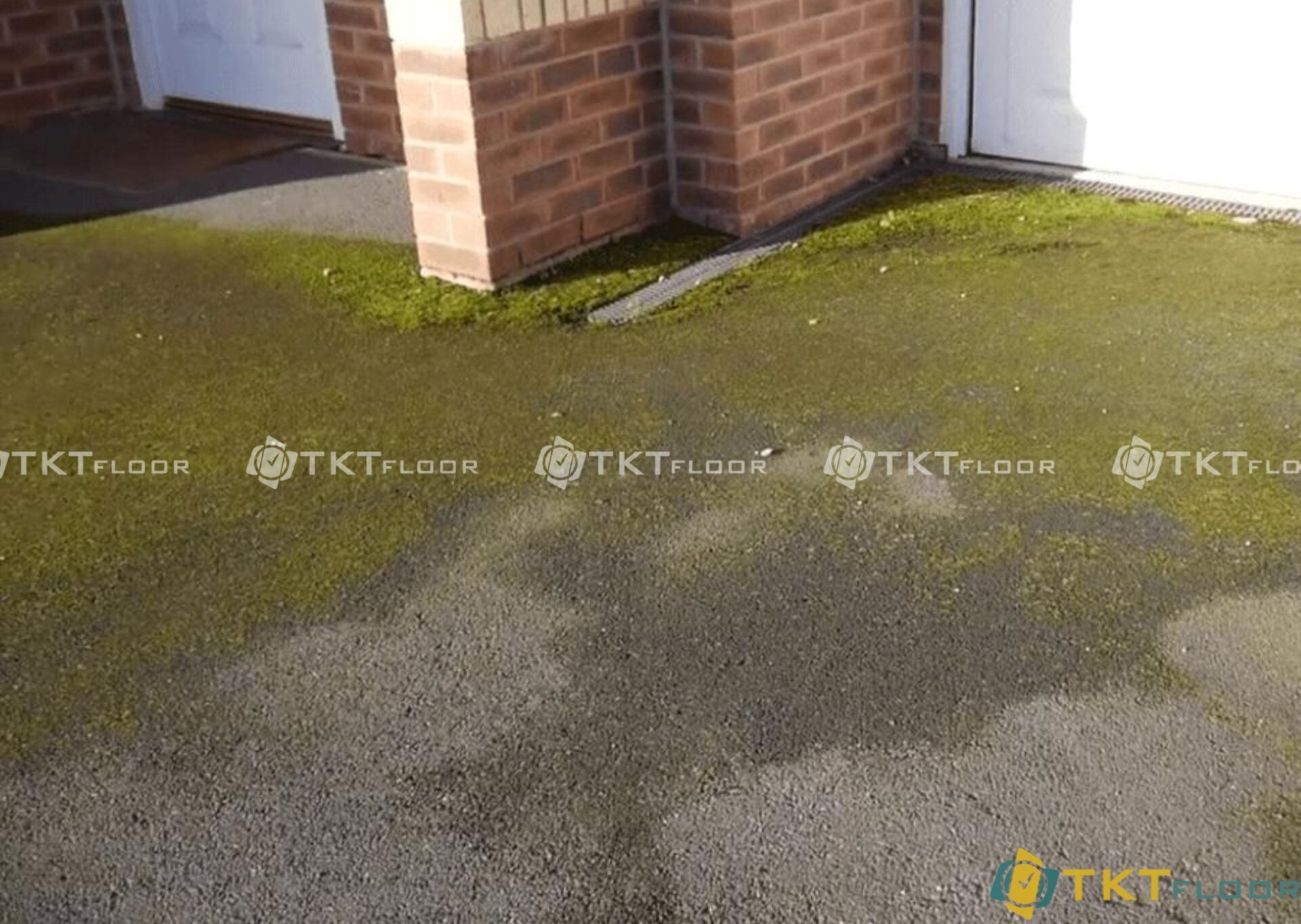 TOP 7 WAYS TO KILL MOSS ON CEMENT FLOORS - TKT Floor