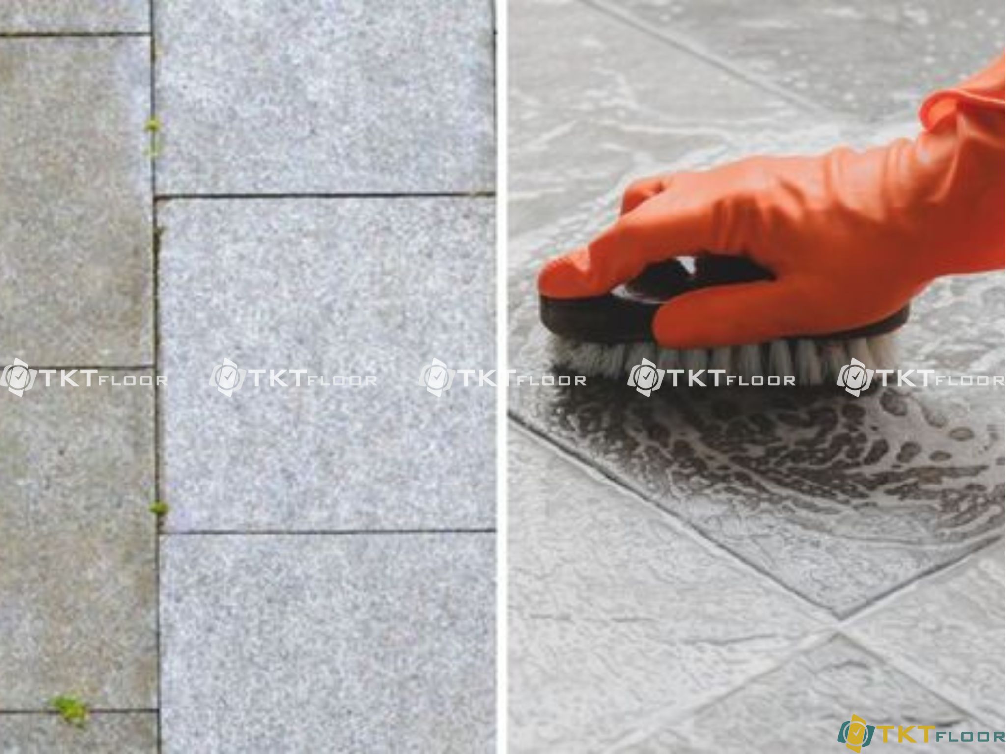 CÁCH TẨY RÊU TRÊN NỀN GẠCH HIỆU QUẢ NHANH - TKT Floor